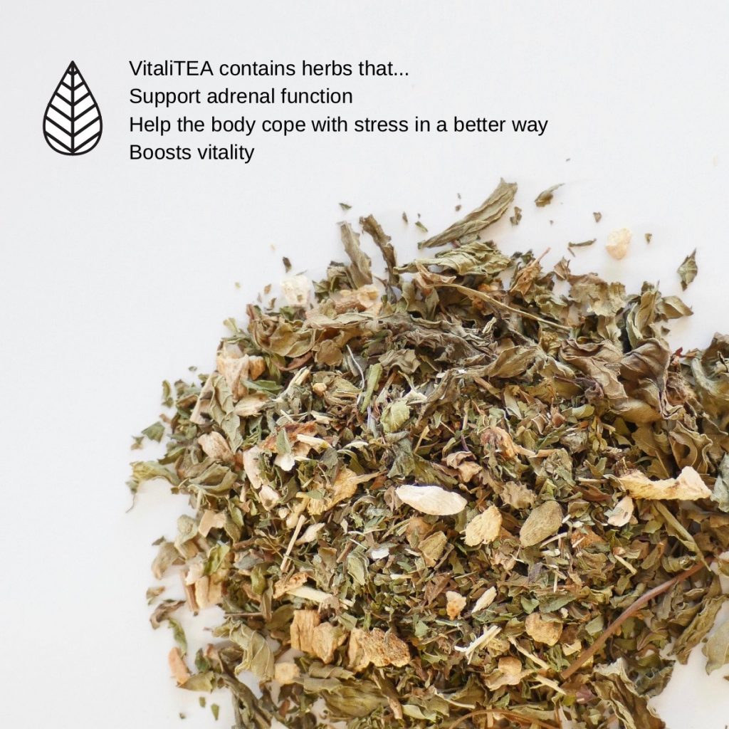 VitaliTEA | Bodhi Organic Tea